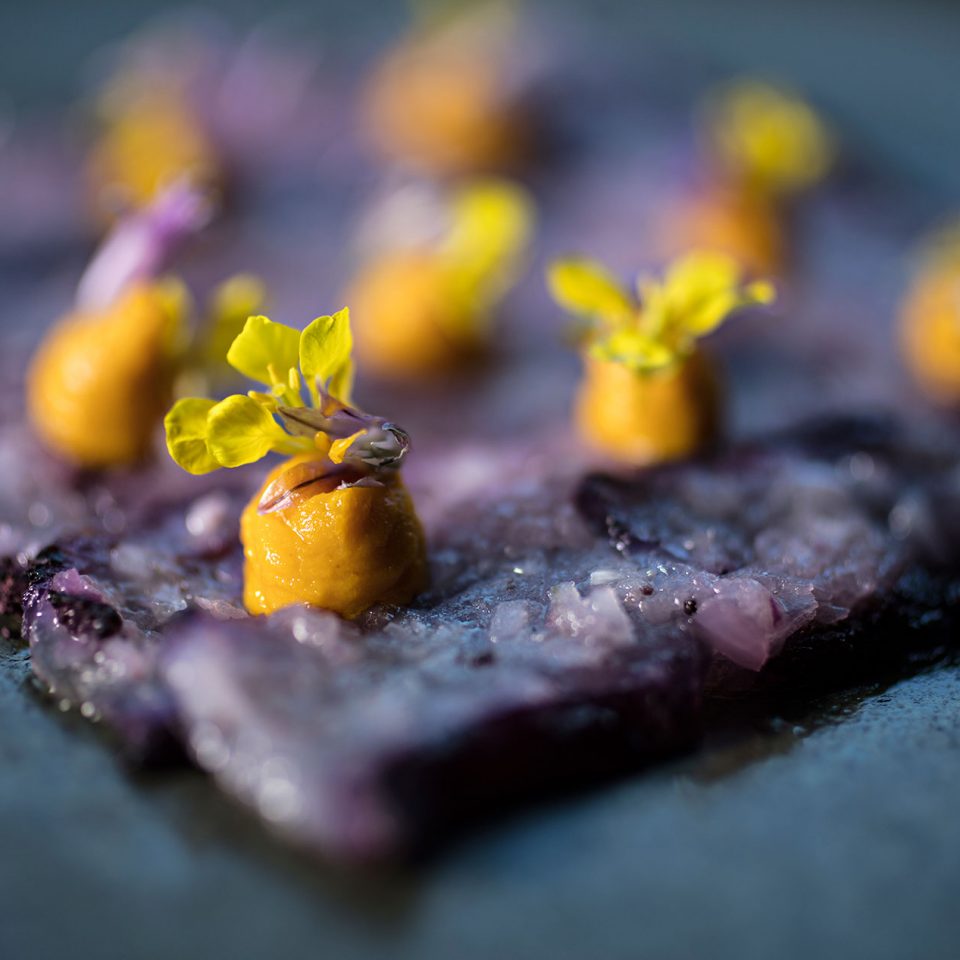 Motacú - SABORES SILVESTRES